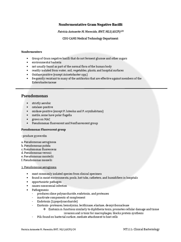 Nonfermentative Gram Negative Bacilli 2025 | PDF | Pseudomonas Aeruginosa | Microbiology