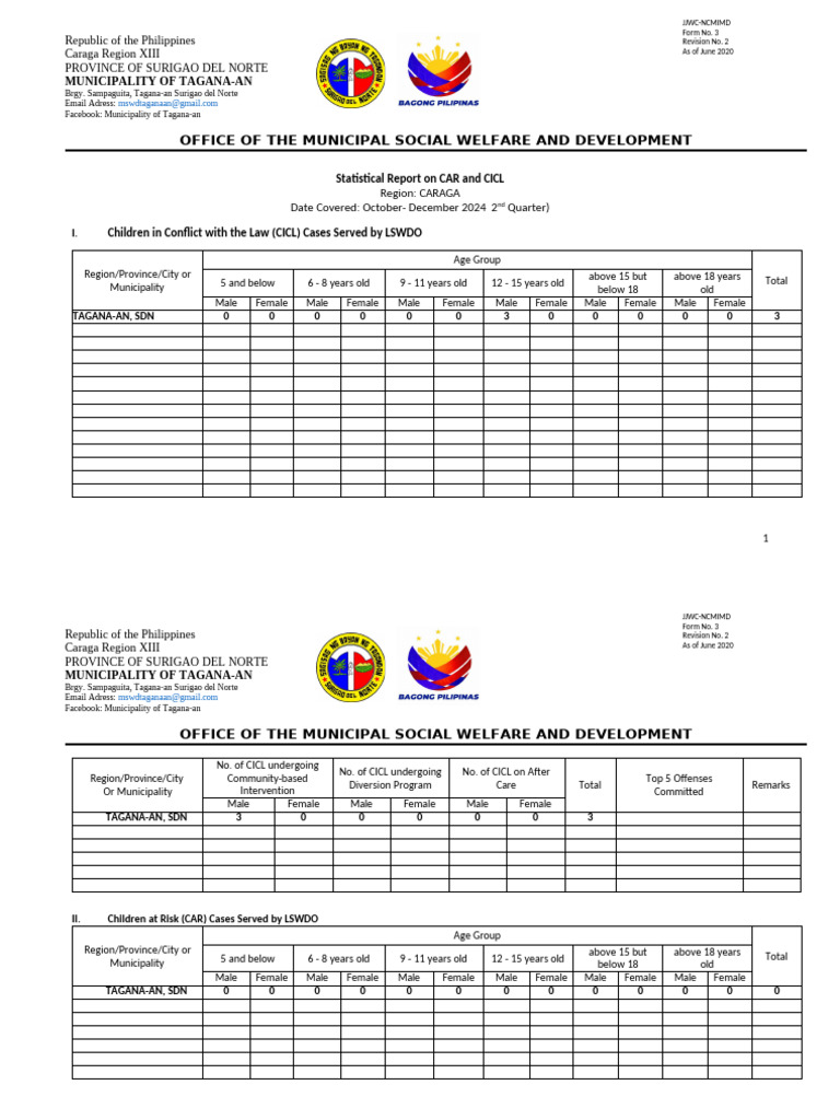 Statistical Report On CAR and CICL 4TH QUARTER 2024 | PDF