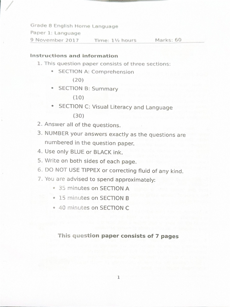 Grade 8 English Home Language | PDF