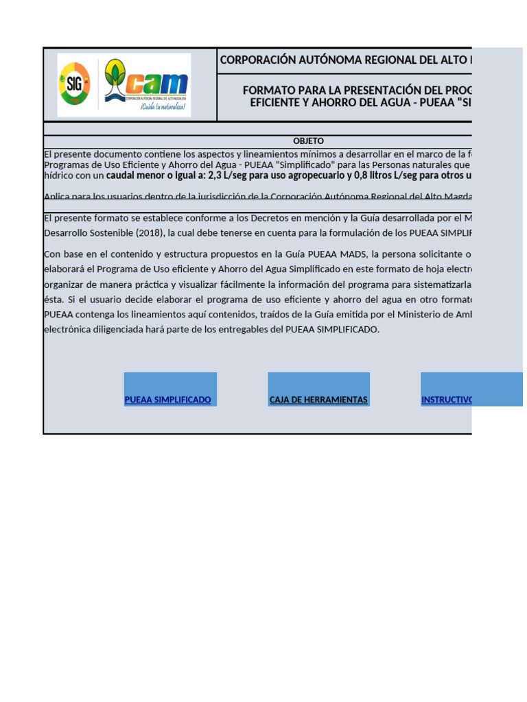 Formato PUEAA Simplificado CAM | PDF | Agua | Medición