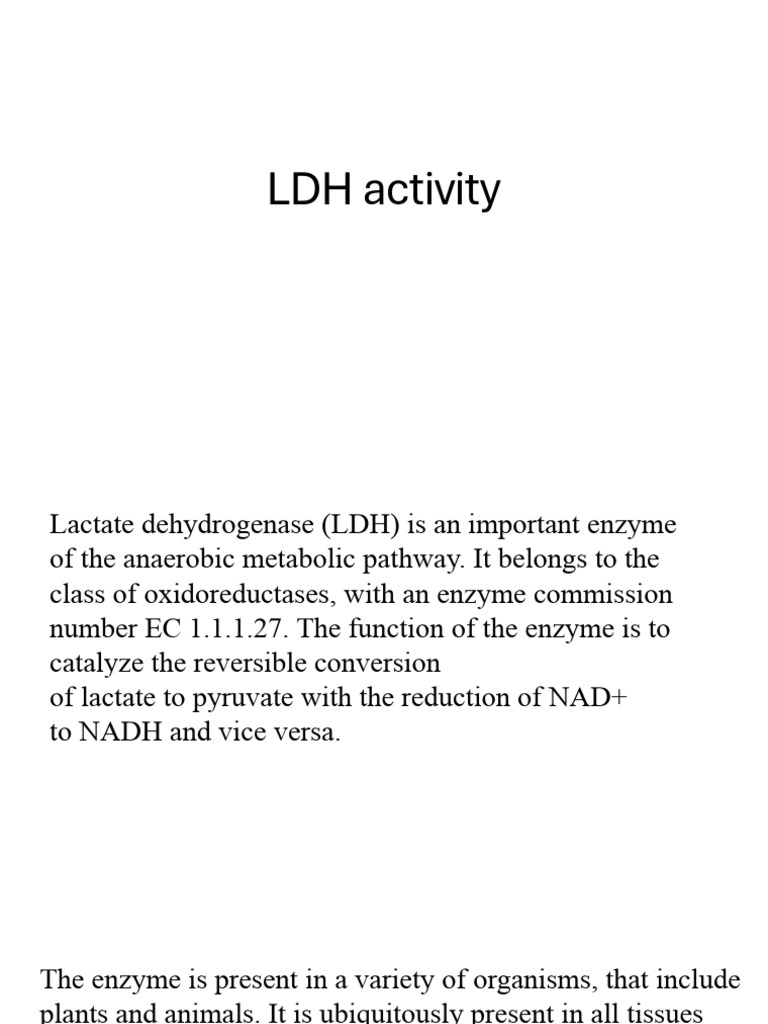 LDH-1 | PDF