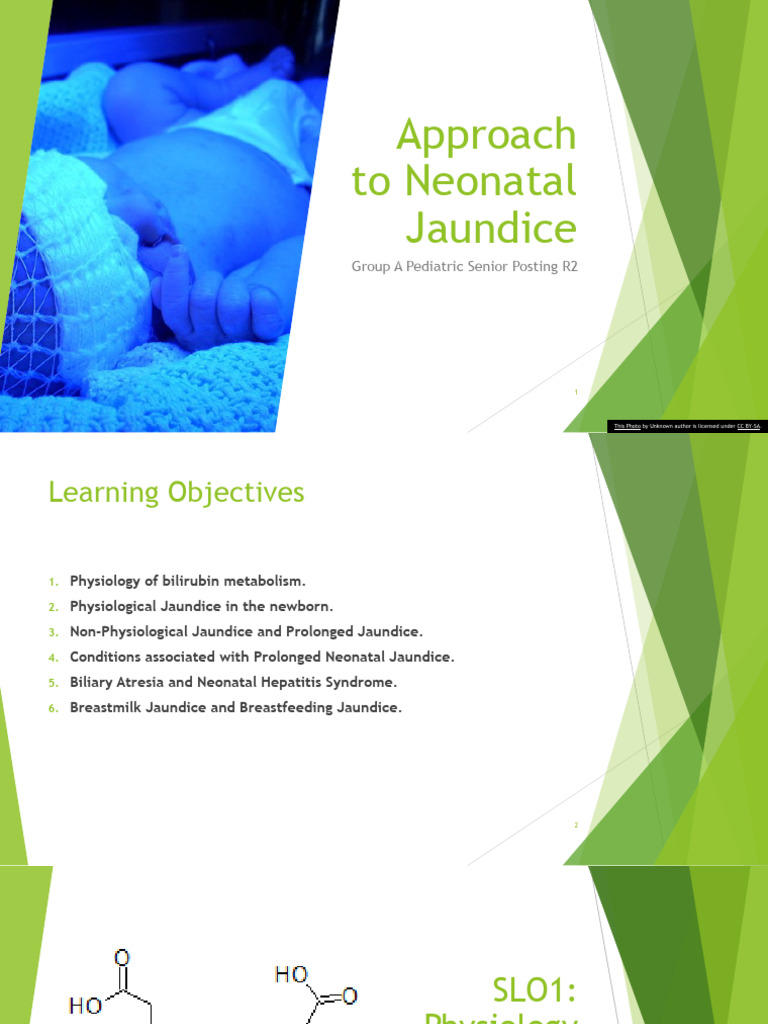 Approach to Neonatal Jaundice | PDF | Digestive System | Digestive Diseases
