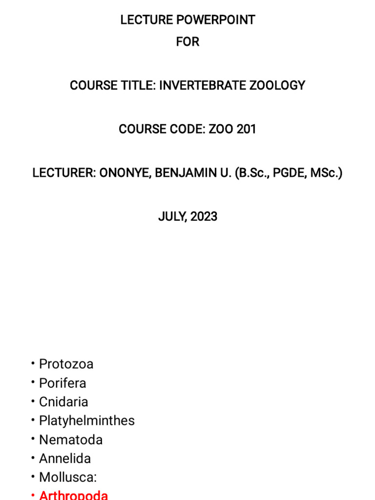 Exopterygota Insect Classification | PDF | Fly | Wasp