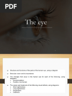 Grade 12 Life Science The Eye | PDF | Eye | Myopia