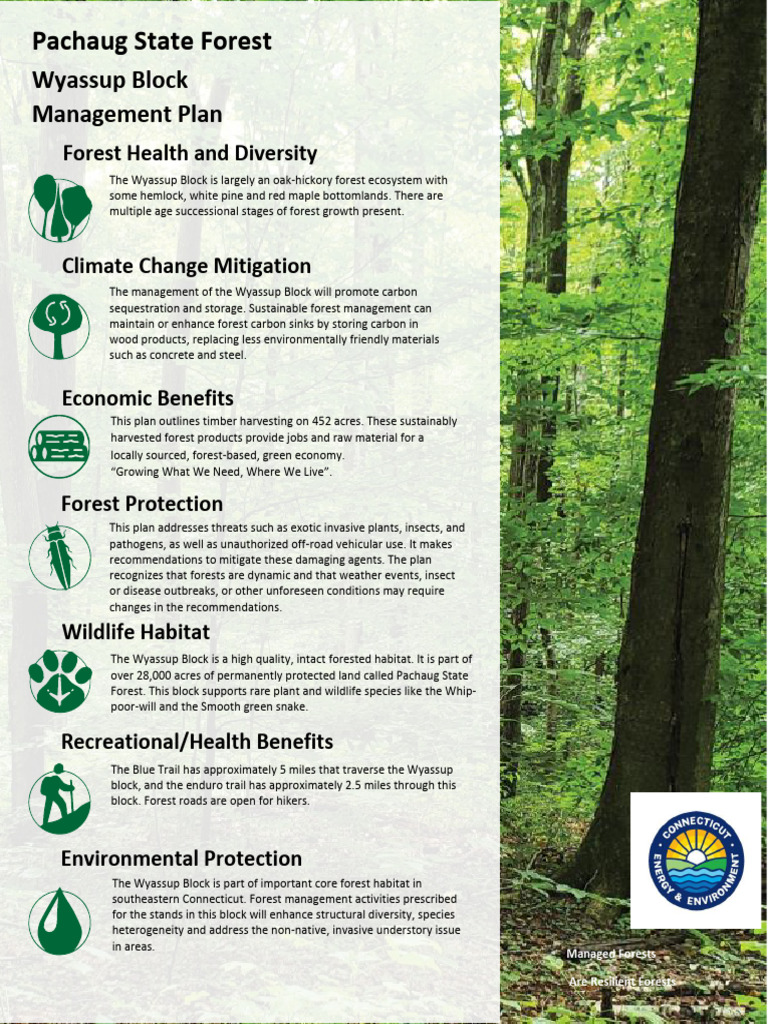 Wyassup Block Forest Management Plan 2025-2035 | PDF | Forests | Forest ...