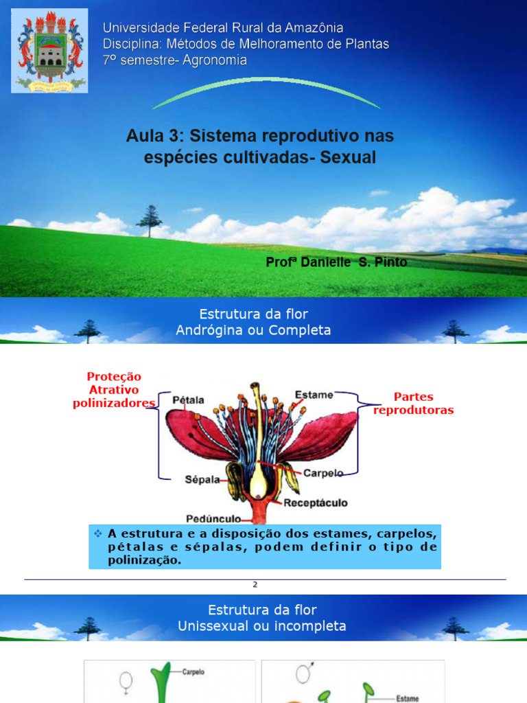 Aula 3.1-Sistemas Reprodutivos - Reproduo Sexual | PDF | Flores | Pólen