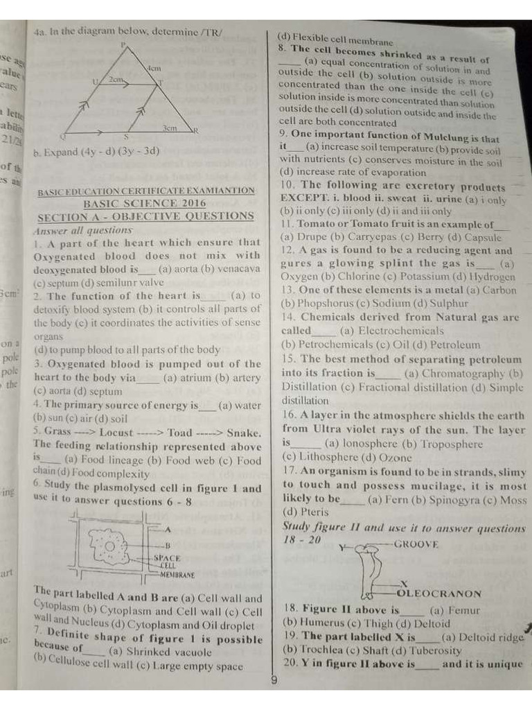 Oyo State BECE Basic Science Questions 1 | PDF