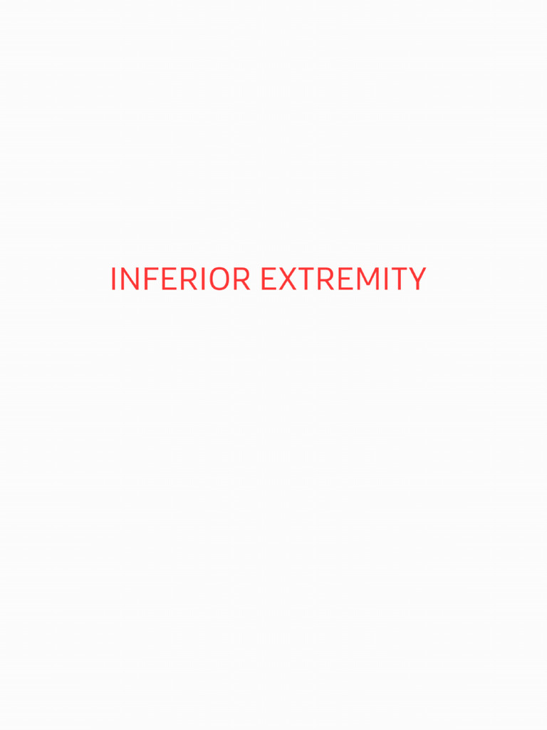 Infex | PDF