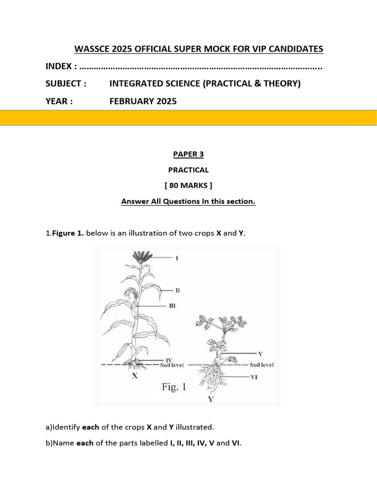 Integrated Science Super Mock 2025 | PDF | Sodium Hydroxide | Chemical ...
