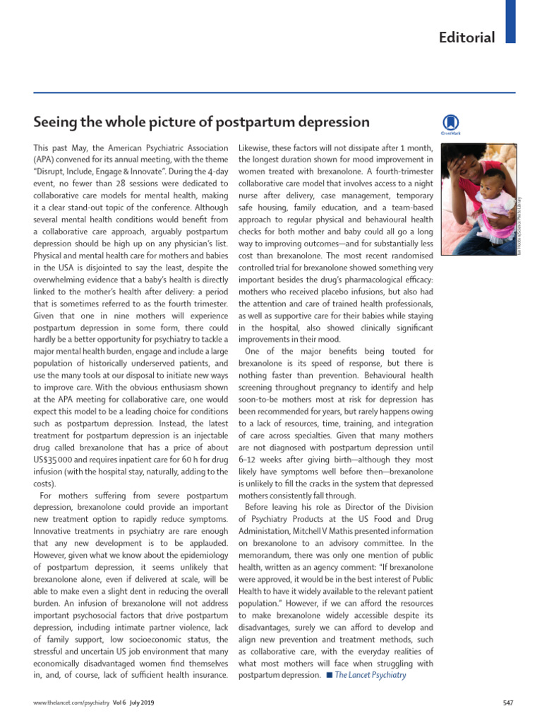 Seeing The Whole Picture of Postpartum Depression | PDF | Postpartum ...
