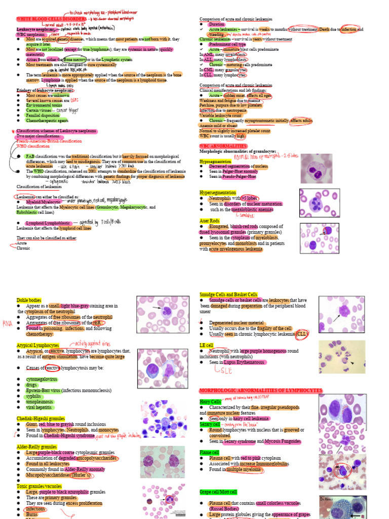 White Blood Cells Disorders | PDF | White Blood Cell | Lymphoma
