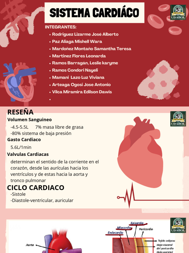 Sistema Cardiaco | PDF | Corazón | Sistema cardiovascular