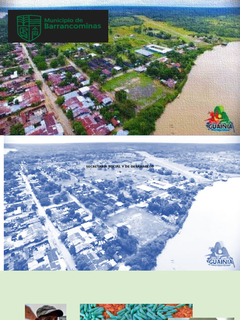 LEPRA Alcaldia de Barrancominas | PDF | Lepra | Ciencias de la Salud