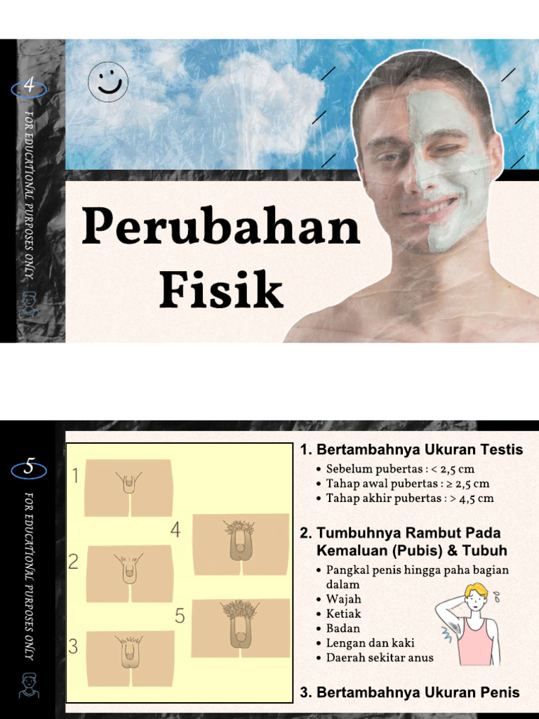 Perubahan Fisik Pada Pubertas Laki-Laki | PDF