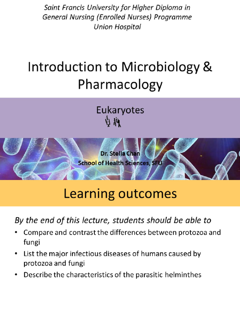 L2 S1 Eukaryotes Stu | PDF