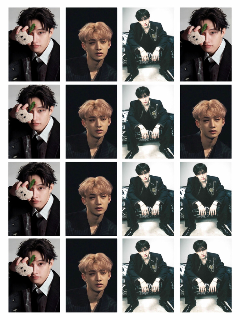 Bang Chan | PDF