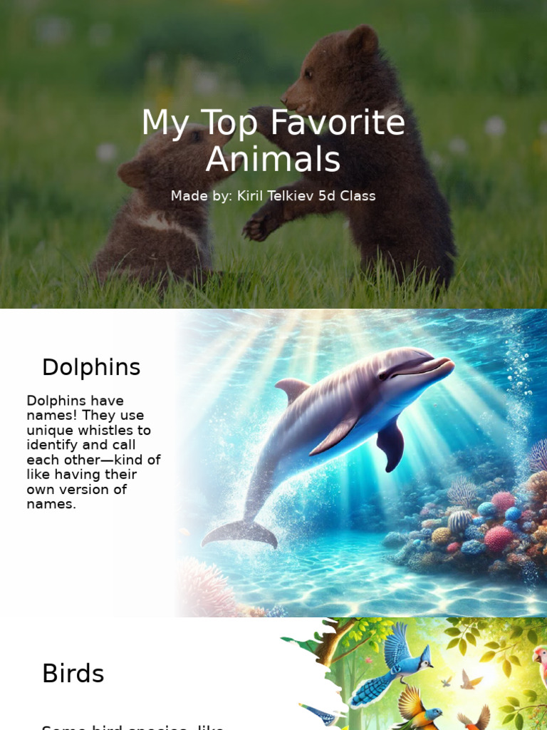 Top 5 Favorite Animals | PDF