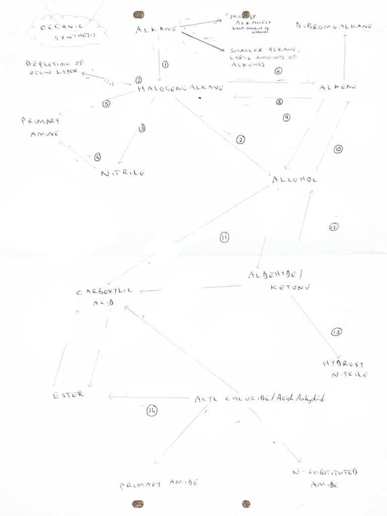 Organic Synthesis Blank Map | PDF