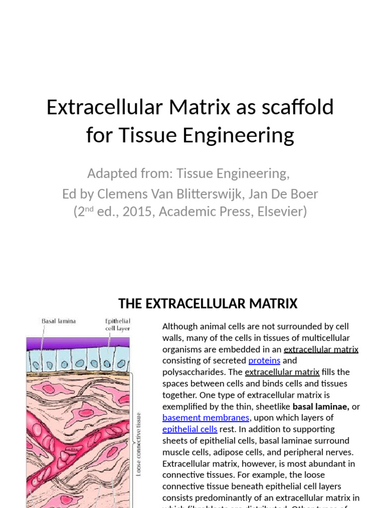 I Am Sharing 'Extracellular Matrix As Scaffold For Tissue Engineering' With You | PDF ...