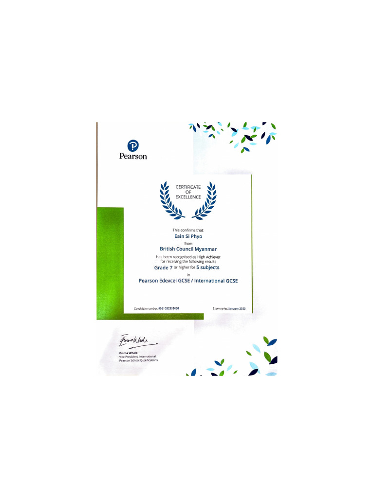Certificate of excellence in IGCSE | PDF
