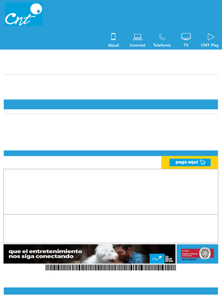 Factura Electronica CNT | PDF | Factura