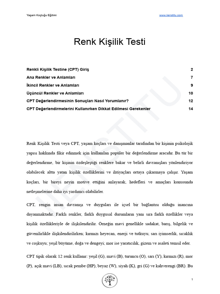 Renk Kisilik Testi | PDF