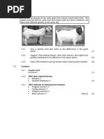 Grade 12 Reaction Rate Notes | PDF
