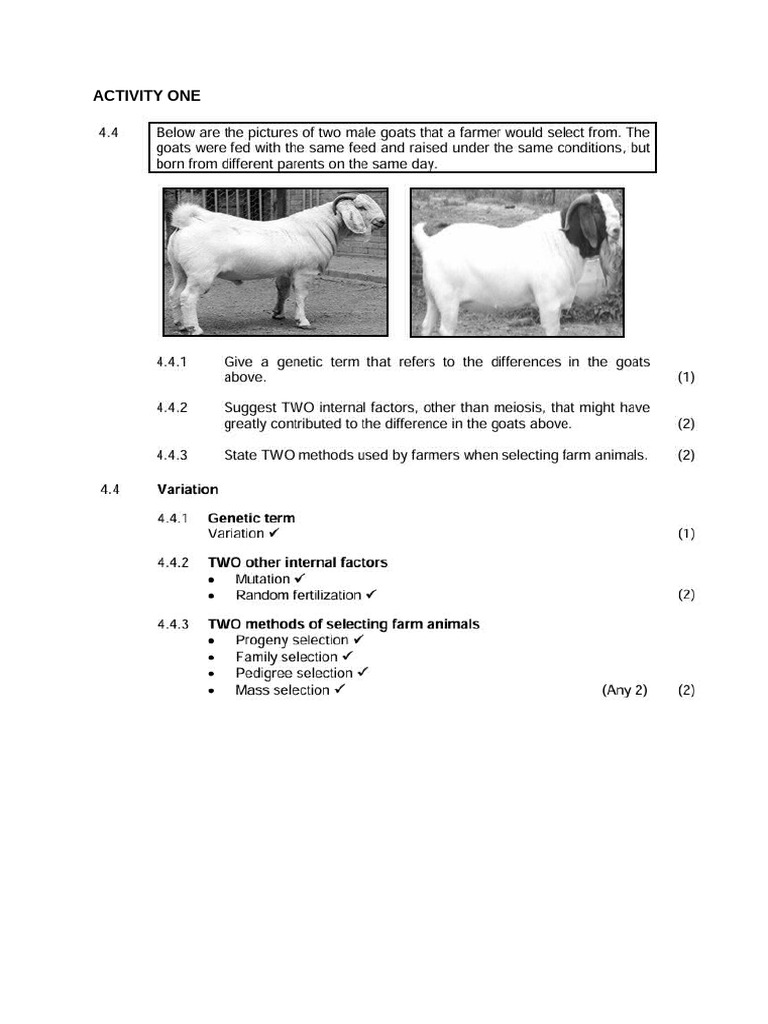 Genetics-Variation To GMO Teacher | PDF