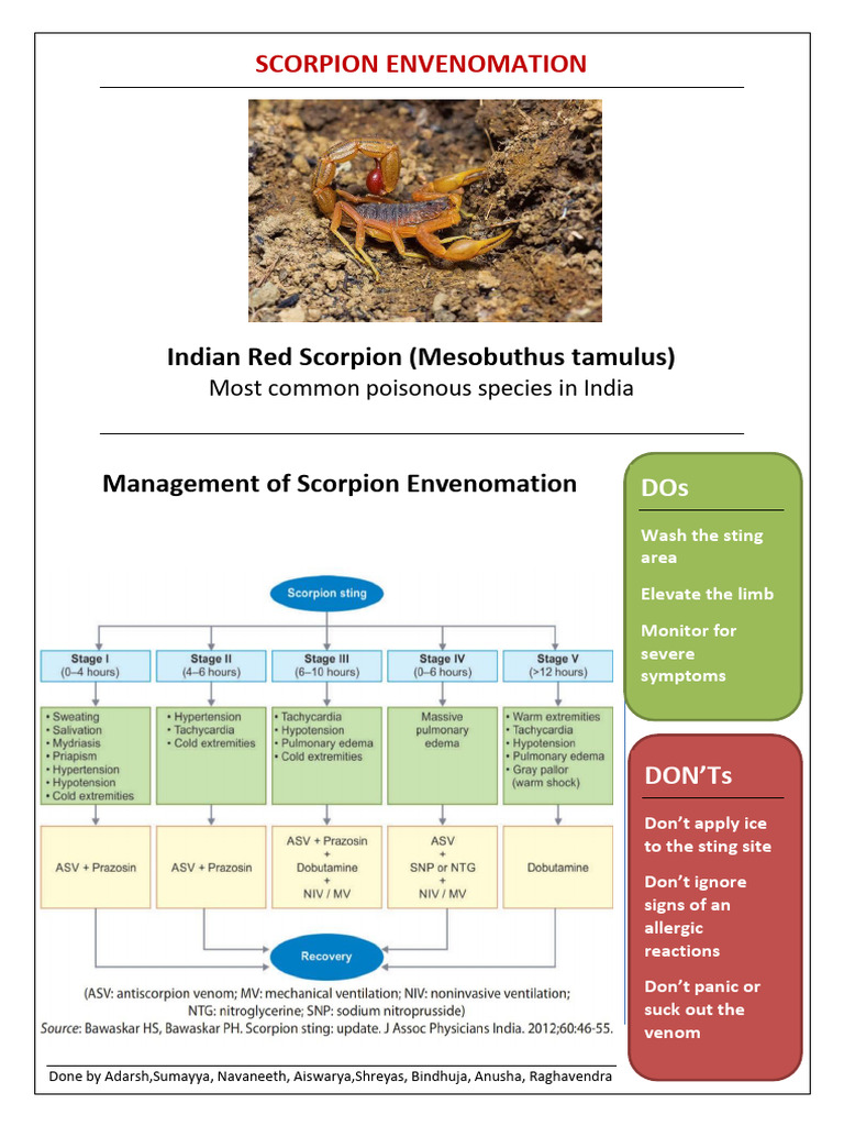 Scorpion Envenomation | PDF