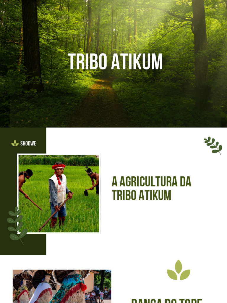 TRIBO Atikum - 20241107 - 083558 - 0000 | PDF