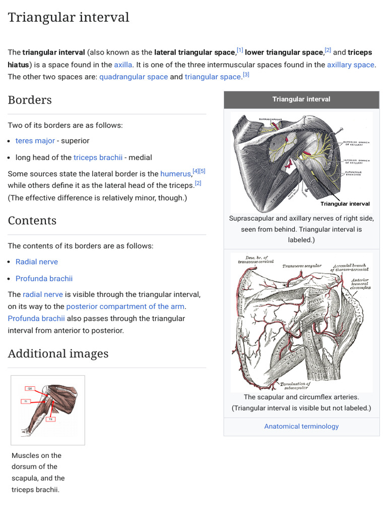 Triangularinterval Wikipedia 1745132625808 | PDF | Limbs (Anatomy) | Human Anatomy