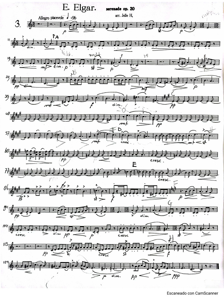 Elgar Serenade Op. 20 Fl. III | PDF