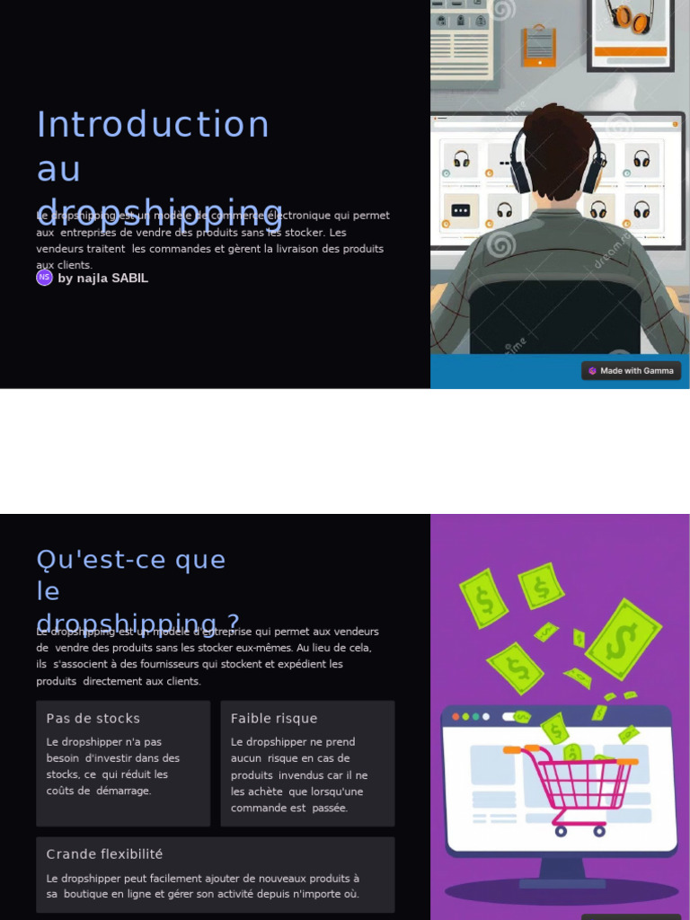 Introduction Au Dropshipping | PDF | Commercialisation | Commerce ...