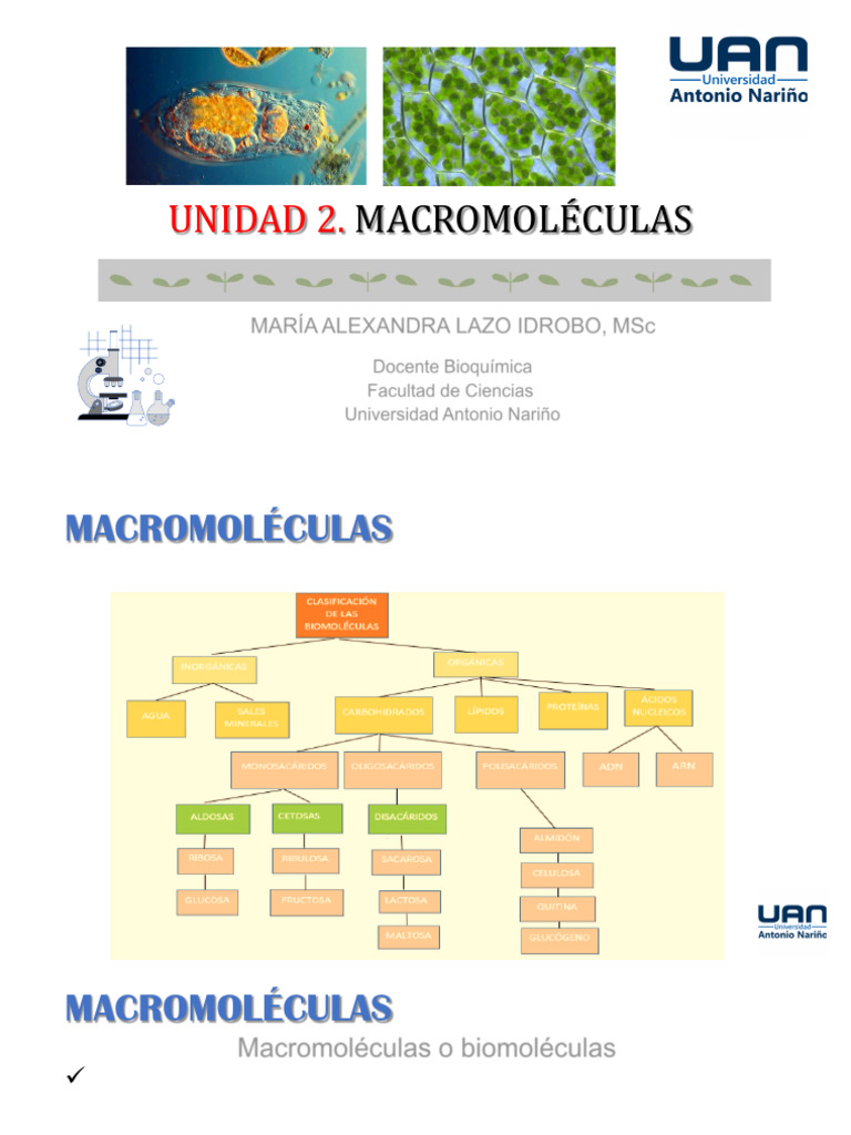 CLASE 3. MACROMOLÉCULAS | PDF | Péptido | Carbohidratos