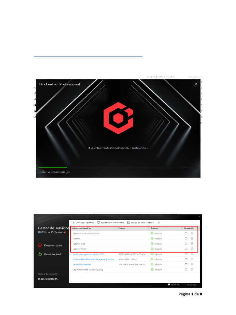 Configuración de Open API en Hikcentral | PDF | Contraseña | Transport ...