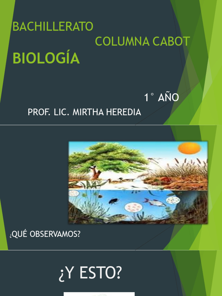 BCC 1â° Aã - o PWP | PDF