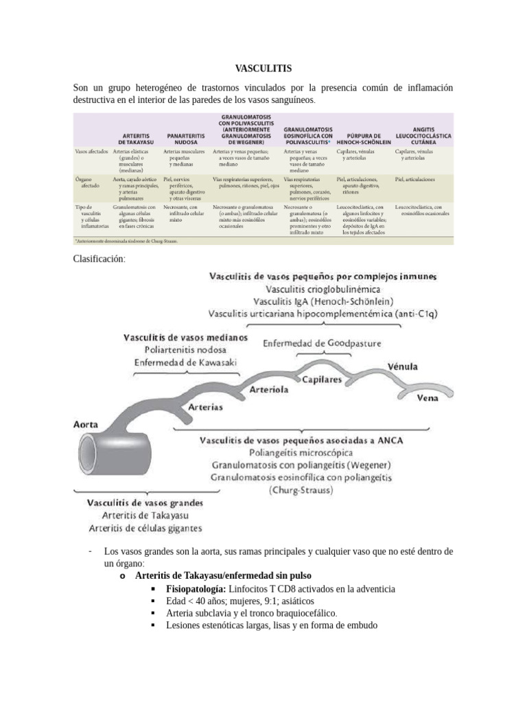 VASCULITIS | PDF | Especialidades Medicas | Enfermedades y trastornos
