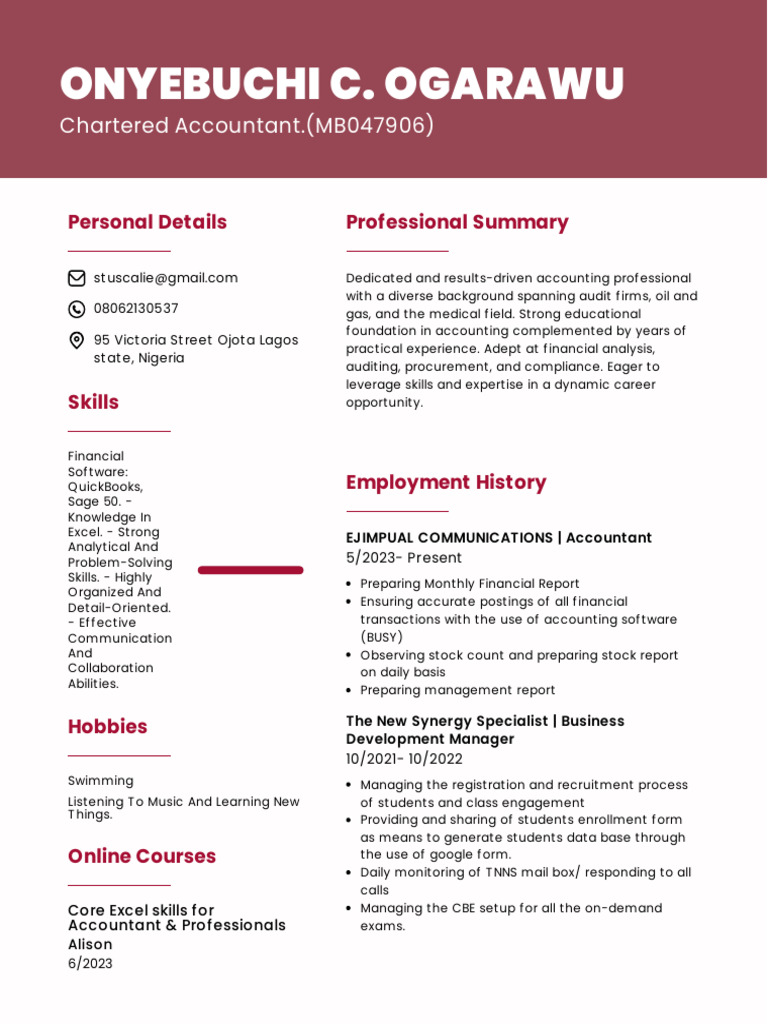 Onyebuchi C. Cv's Resume | PDF | Financial Services | Business