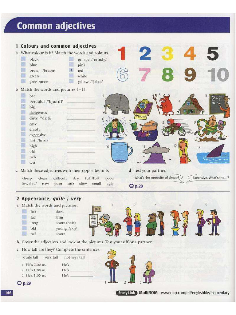 Common Adj-S - Chart Nef | PDF