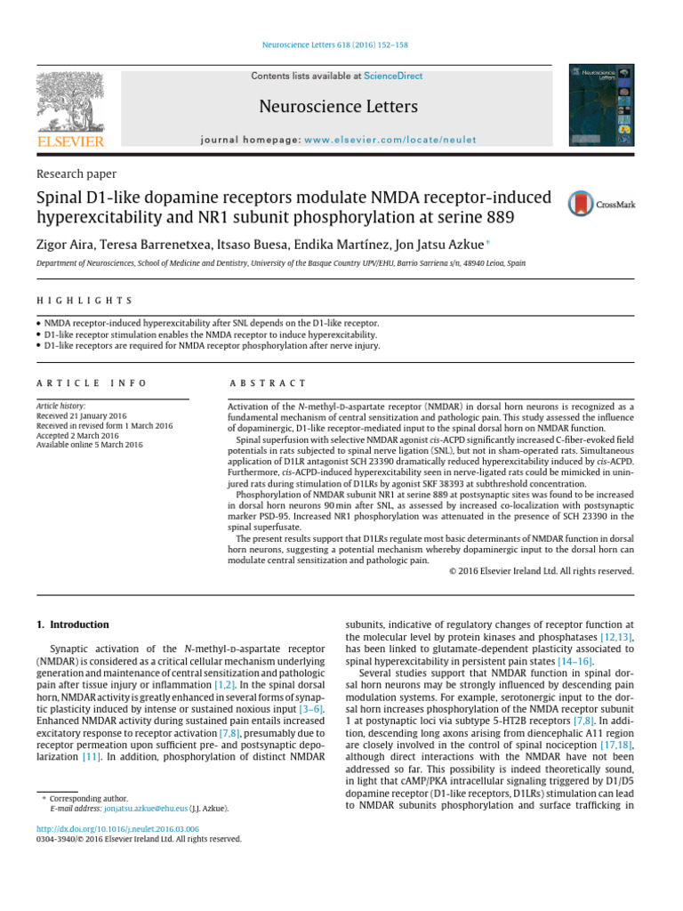 Spinal D1-Like Dopamine. Neuroscience Letters | PDF | Nmda Receptor ...