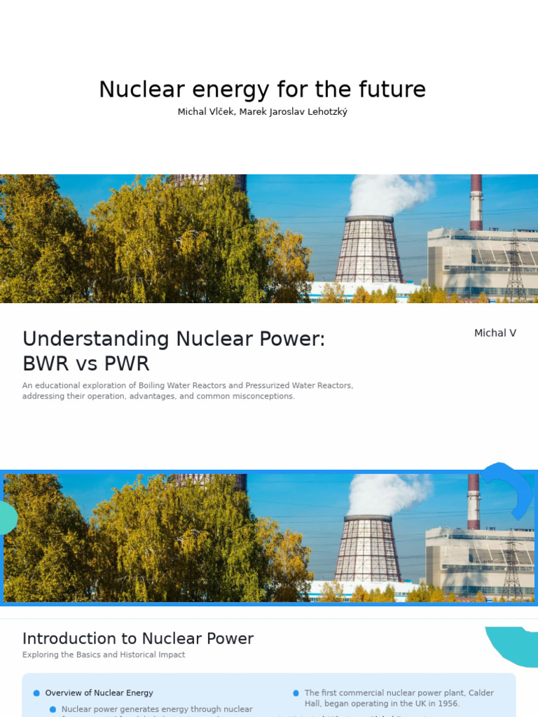 Understanding BWR and PWR Nuclear Power Plants-Michal Vlček A Marek ...