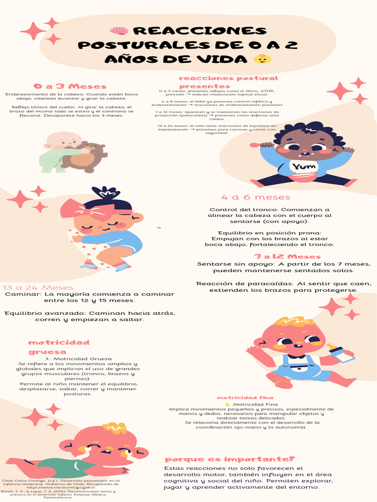 Reacciones Posturales | PDF