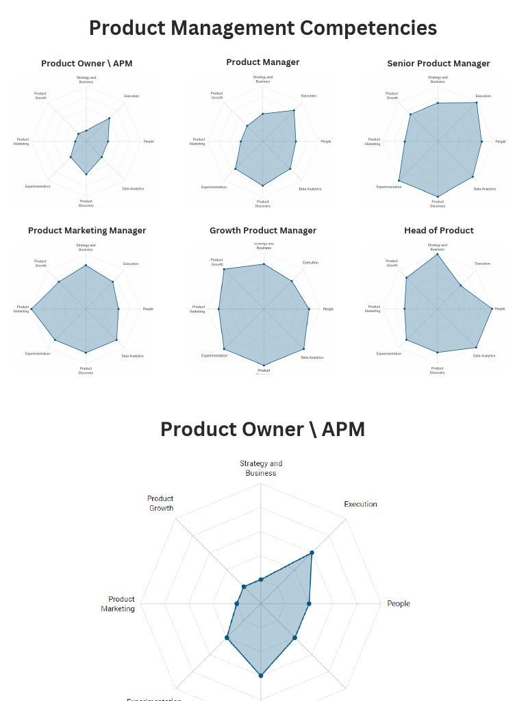 Product Management Competencies by Role 1695321634 | PDF