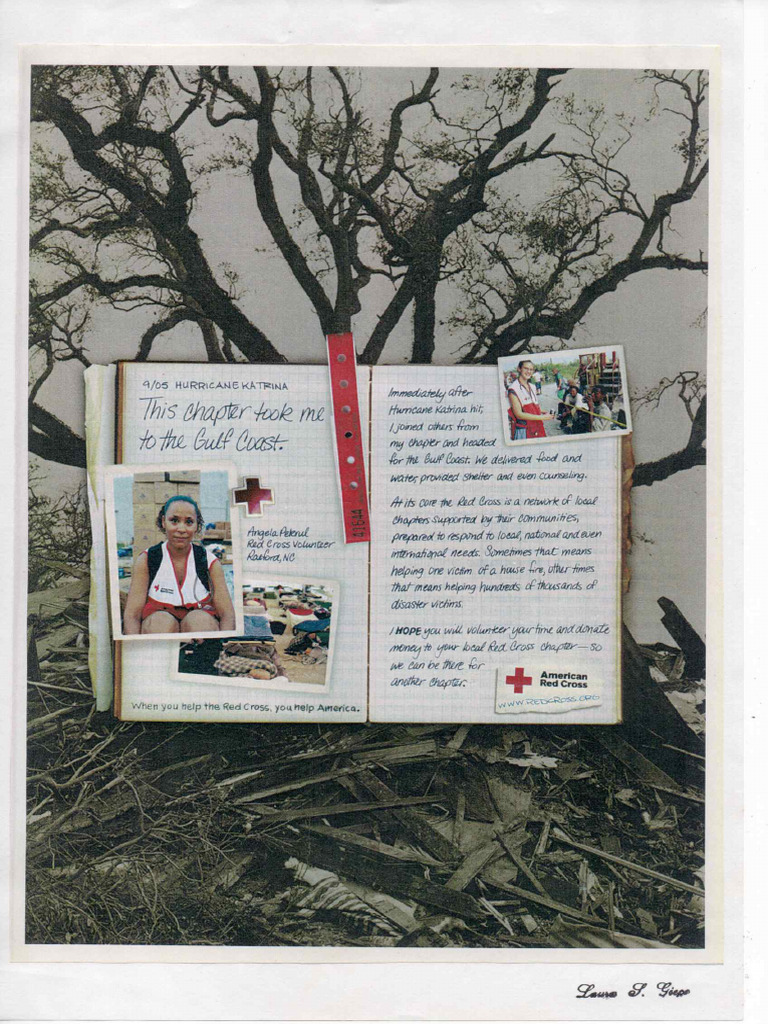 1 AD - American Red Cross | PDF