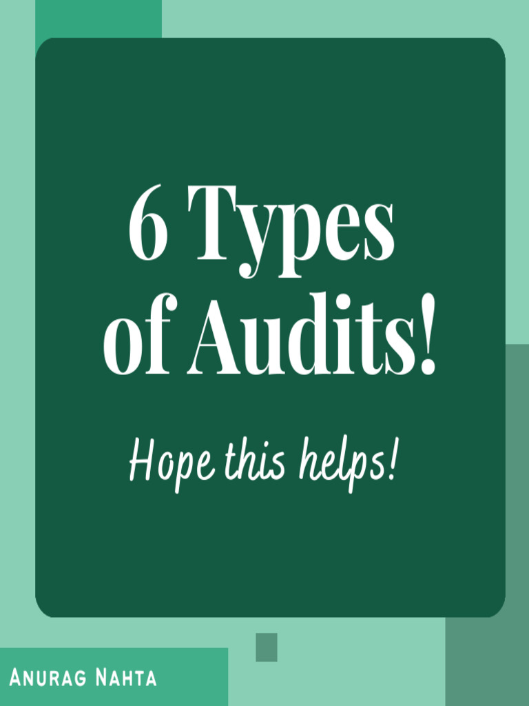 Types of Audits Explained | PDF