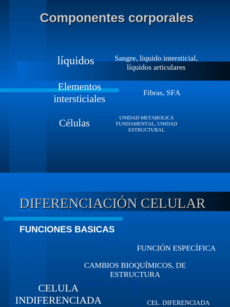 Componentes Corporales y Tejidos Animales | PDF