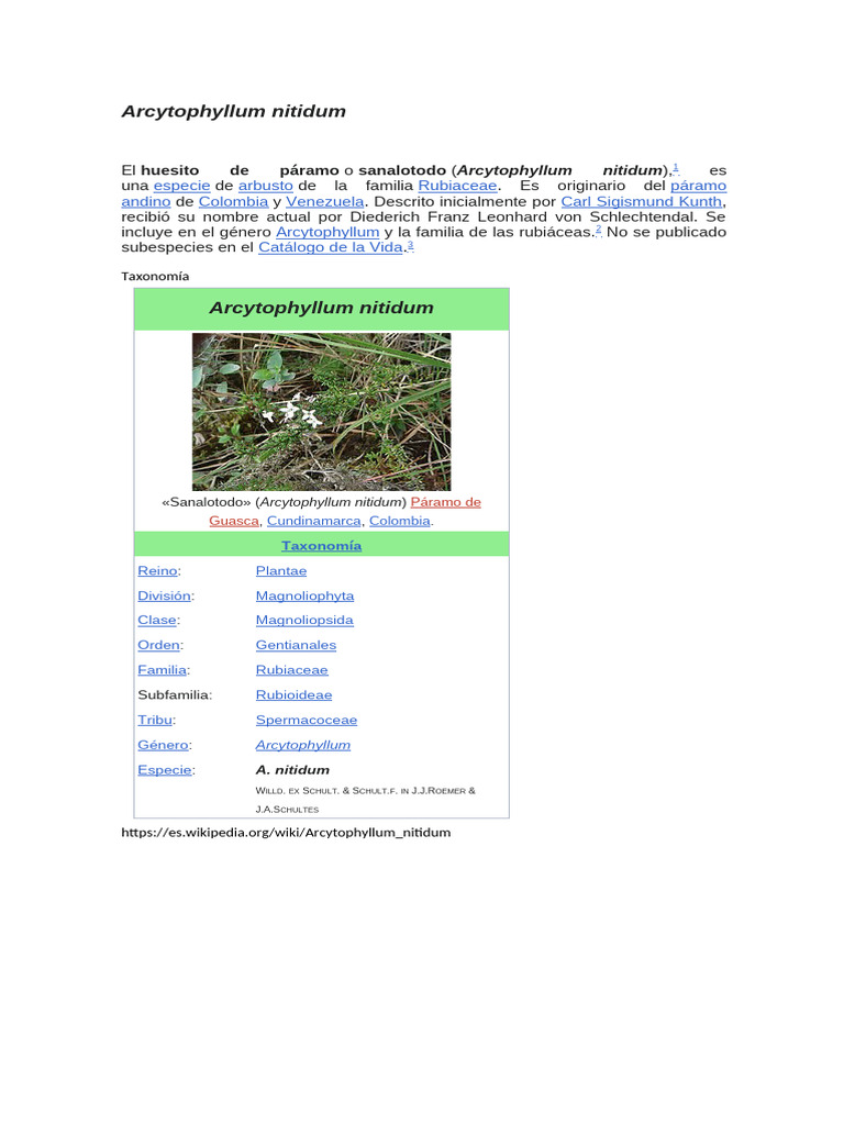 Arcytophyllum nitidum: Huesito de Páramo | PDF