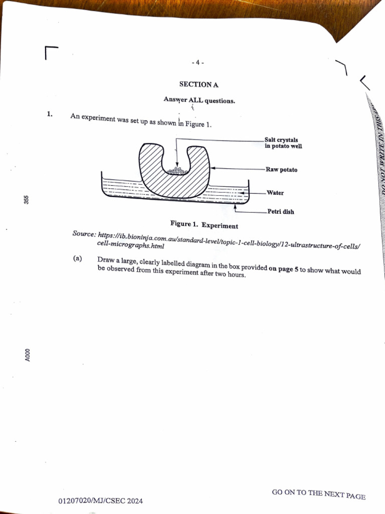 CSEC Biology MayJune 2024 Paper 2 | PDF | Glucose | Biology