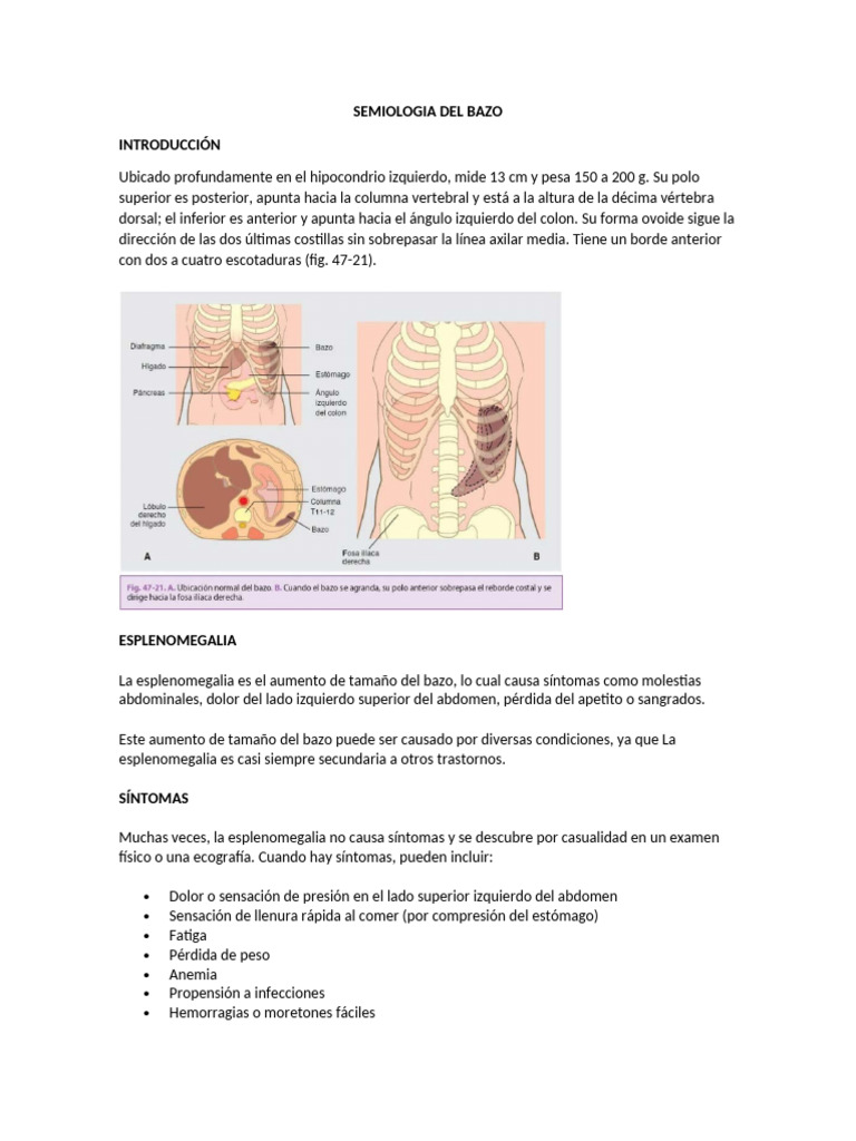 Semiología del Bazo y Esplenomegalia | PDF | Bazo | Abdomen