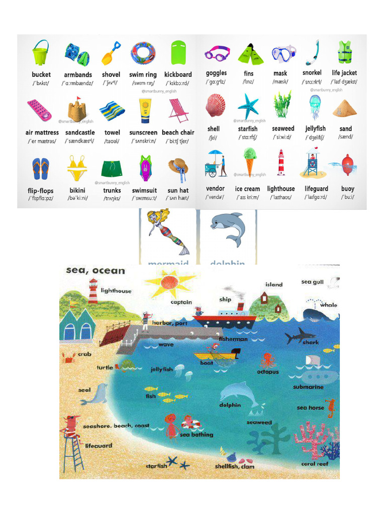 Beach | PDF
